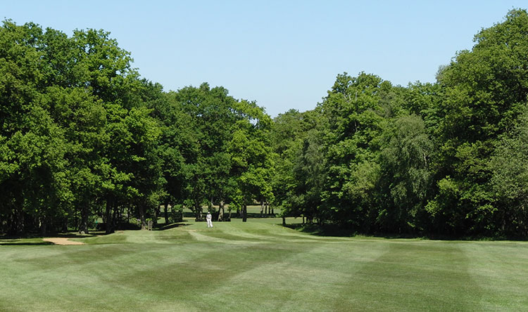 Golf Courses in Woking, Guildford and Surrey | English Golf Courses