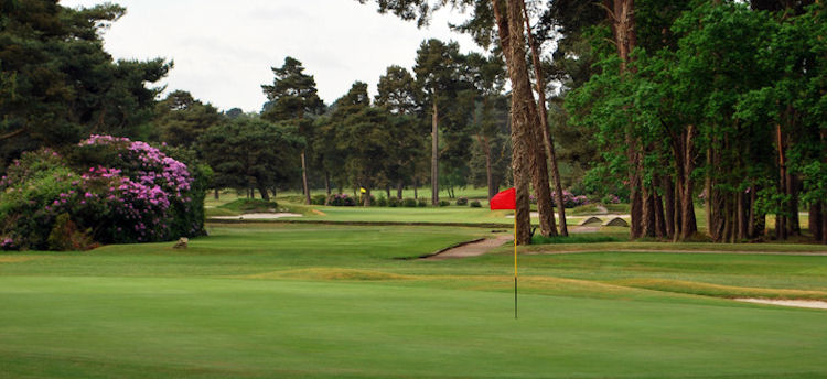 Canford Magna Golf Club | Dorset | English Golf Courses