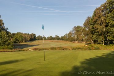 Royal Ashdown Forest Old Course | Sussex | English Golf Courses