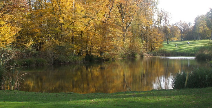 Rusper Golf Club | Surrey | English Golf Courses